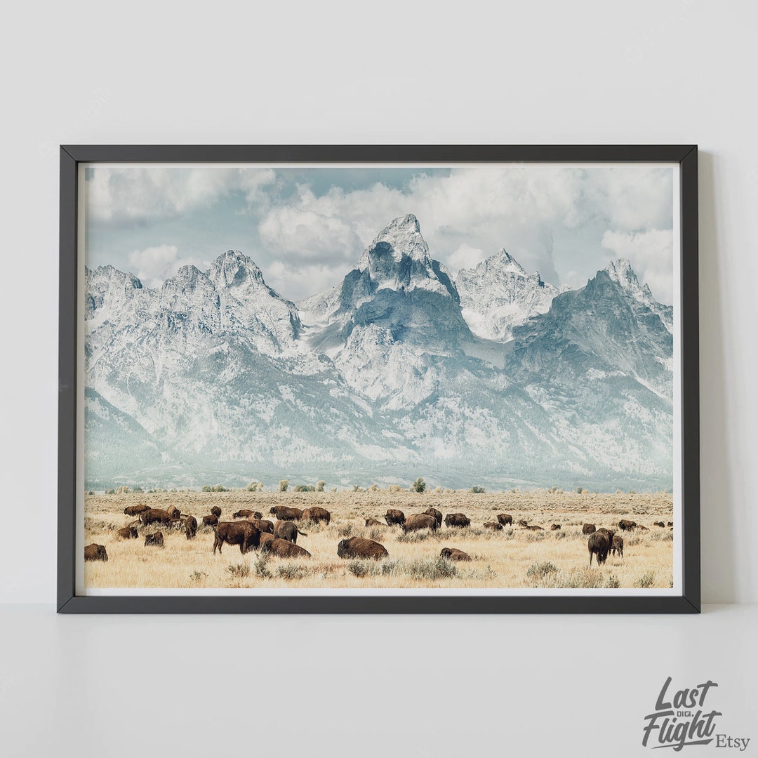 Bison Herd Print, Wildlife Art, Bison Poster, Mountains, Buffalo ...