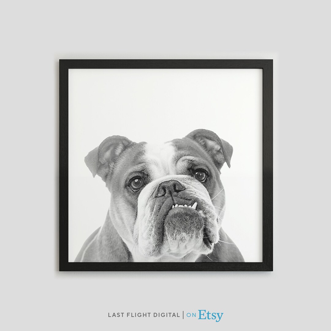 Dog Print, English Bulldog, Dog Poster, Puppy Print, Puppy Poster, Kids ...