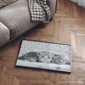 Cat Print, Kitten Poster, Snuggle, Cat Poster, Kitten Poster, Nursery ...