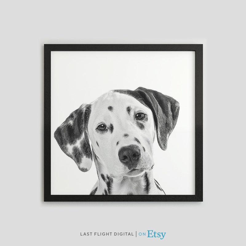 Dalmatian Print - Etsy