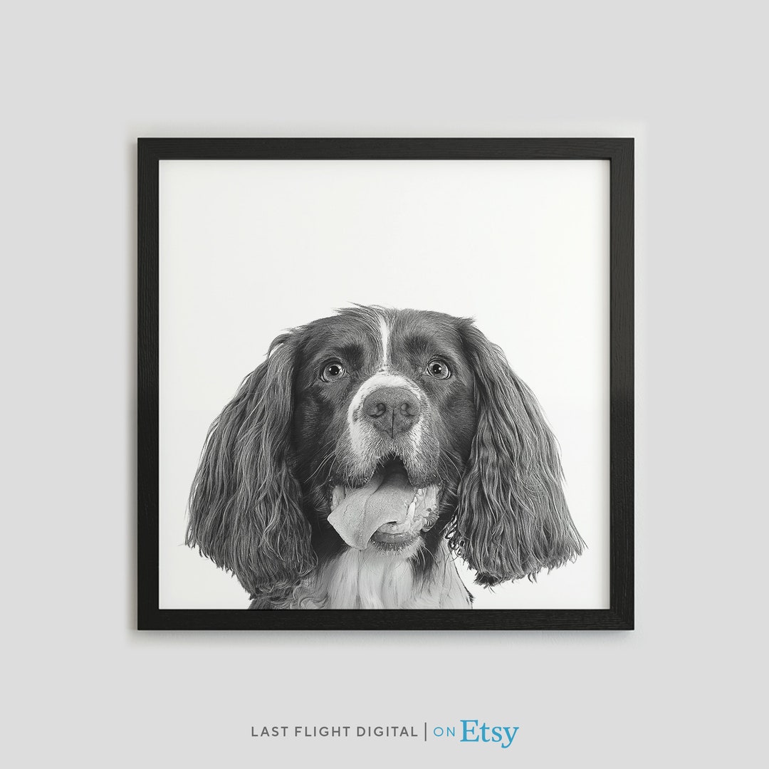 Dog Print, Springer Spaniel, Dog Poster, Puppy Print, Puppy Poster ...