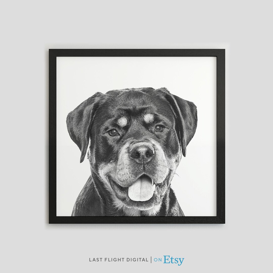 Dog Print, Rottweiler, Dog Poster, Dog Portrait, Puppy Print, Puppy ...
