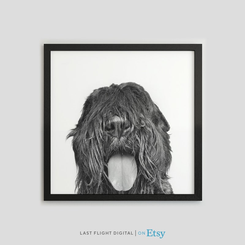 Dog Bouvier Memorial Art - Etsy
