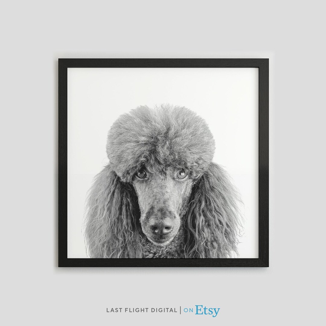 Dog Print, Poodle, Dog Poster, Puppy Print, Puppy Poster, Poodle Print ...
