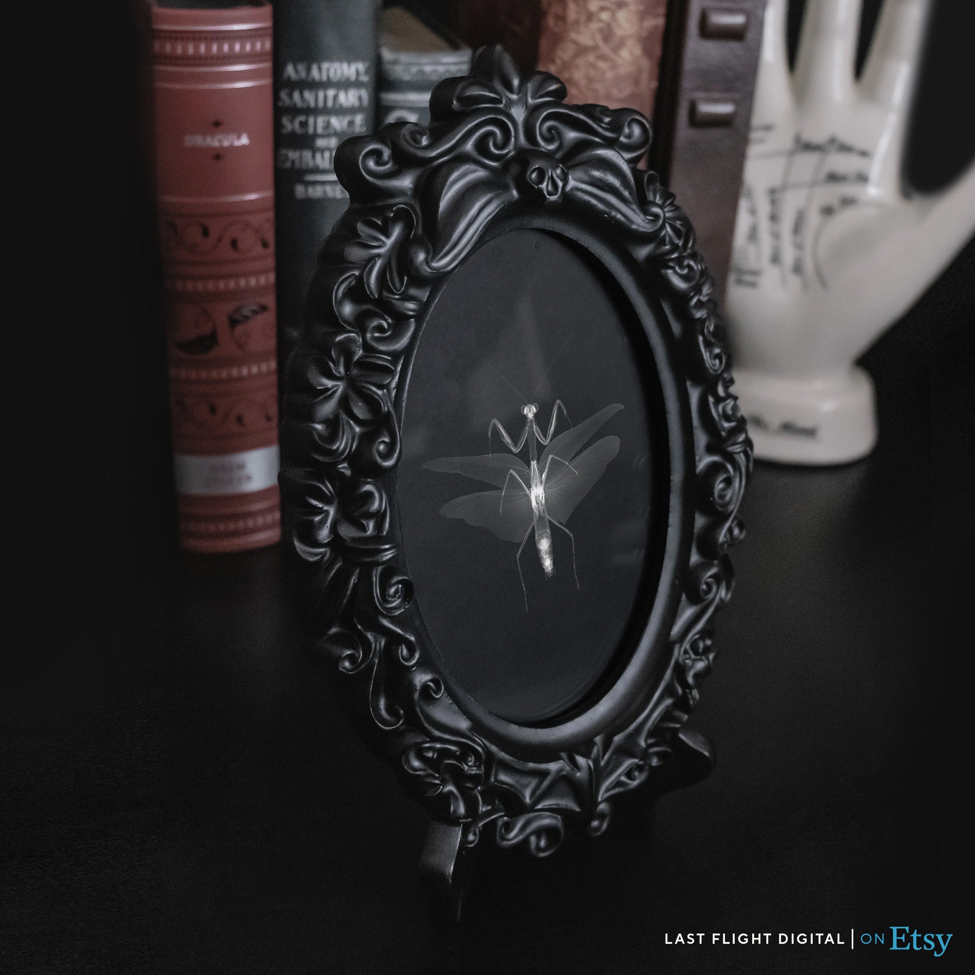 Preying Mantis X-ray Print, Mantis Poster, Mantis Print, Insect, Black ...