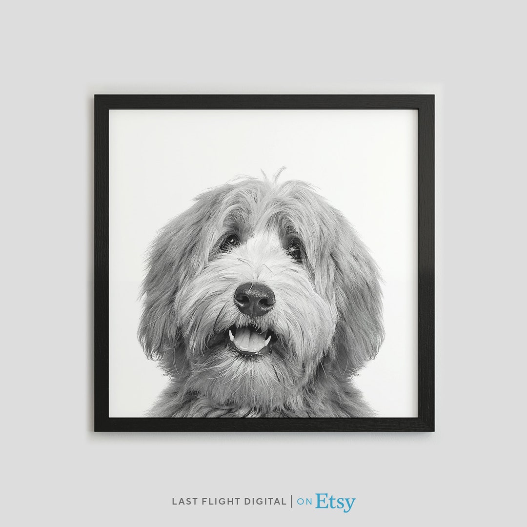 Dog Print, Labradoodle, Dog Poster, Puppy Print, Puppy Poster, Kids ...