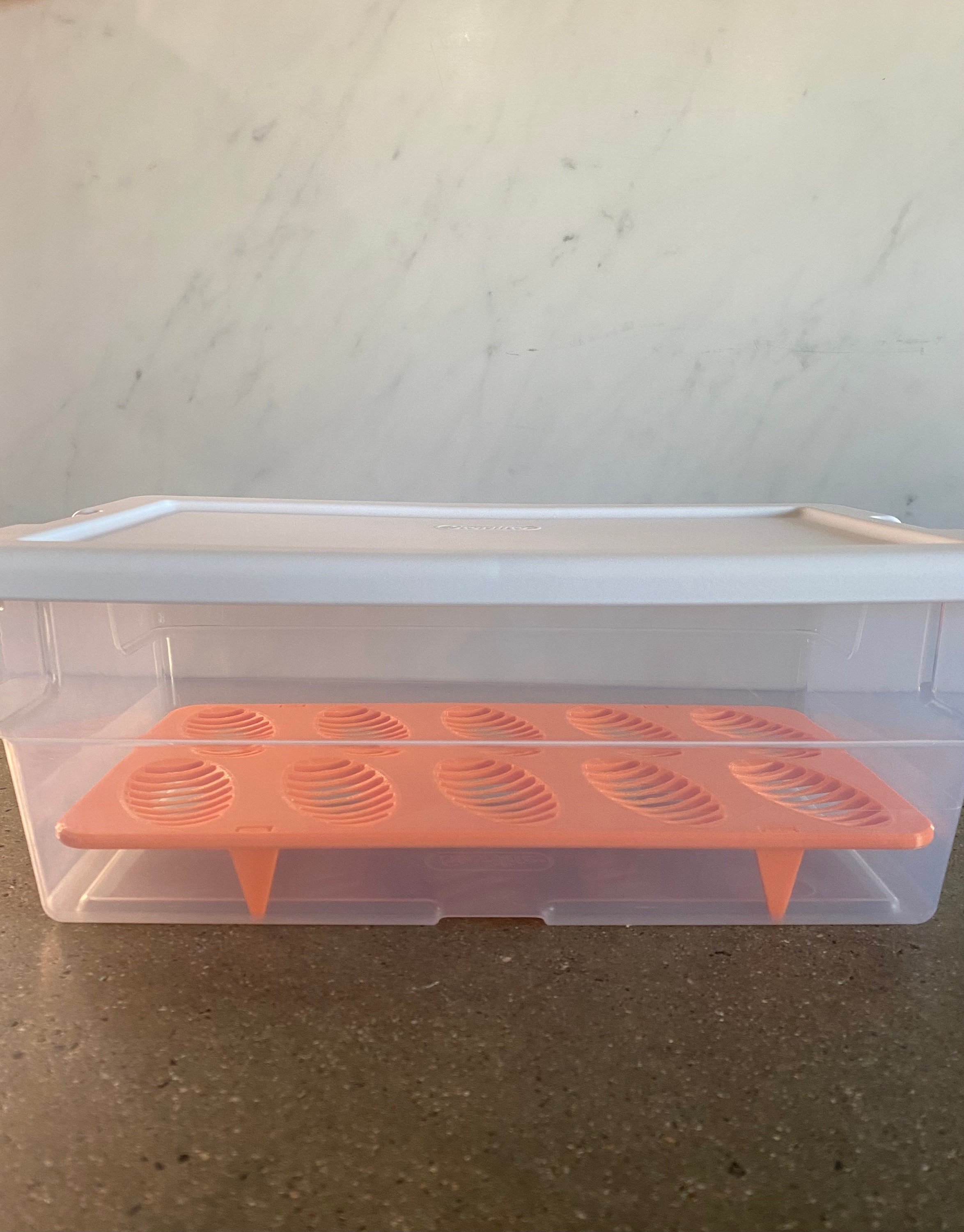 Ball Python Egg Hatch Tray, Reptile Incubator Rack, Snake Accessories ...
