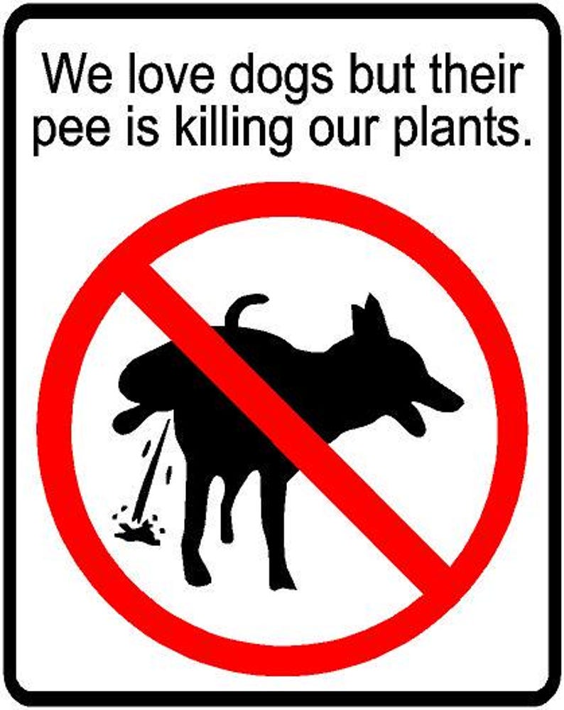 NO PEEING Poop Stoop and Scoop Color Lawn Sign Dog Waste Pick up After ...