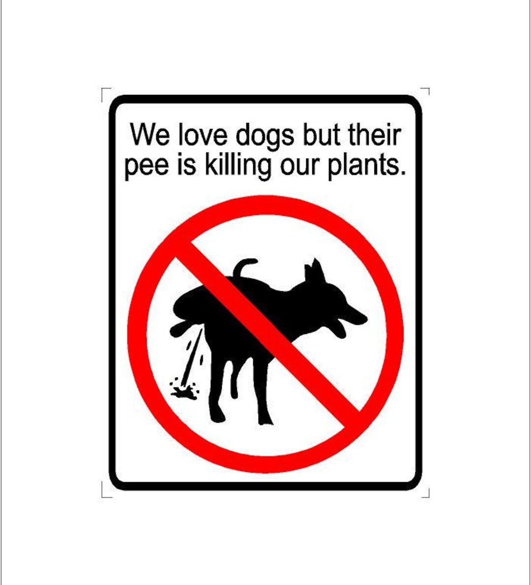 NO PEEING Poop Stoop and Scoop Color Lawn Sign Dog Waste Pick up After ...