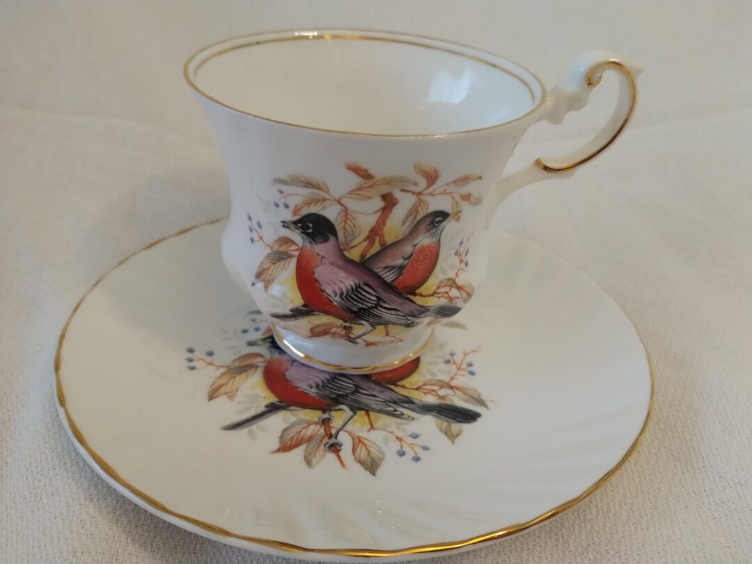 Vintage Blue Jays Birds of America Teacup and Saucer Vintage Queen’s ...