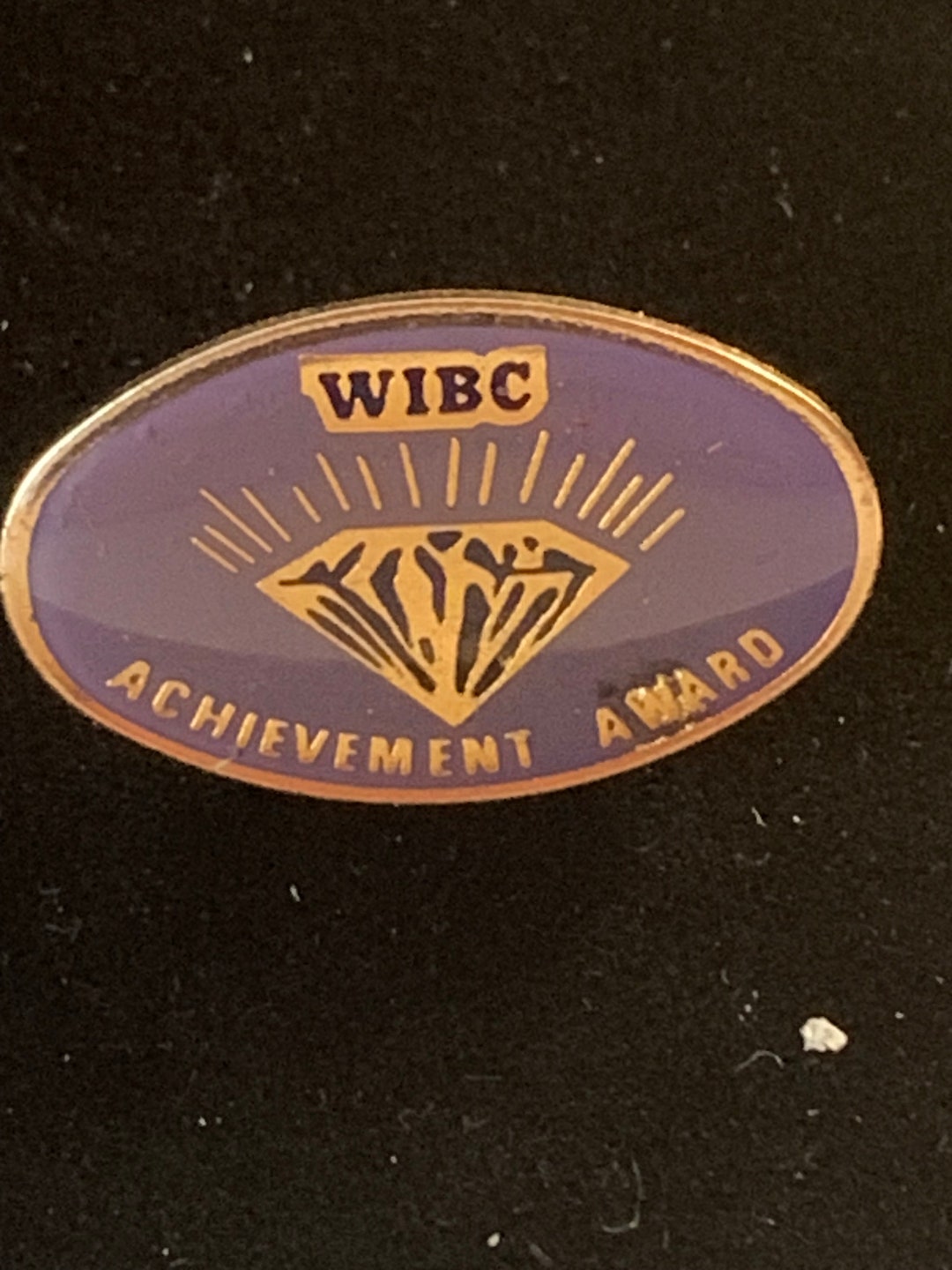 WIBC Achievement Award Pin - Etsy