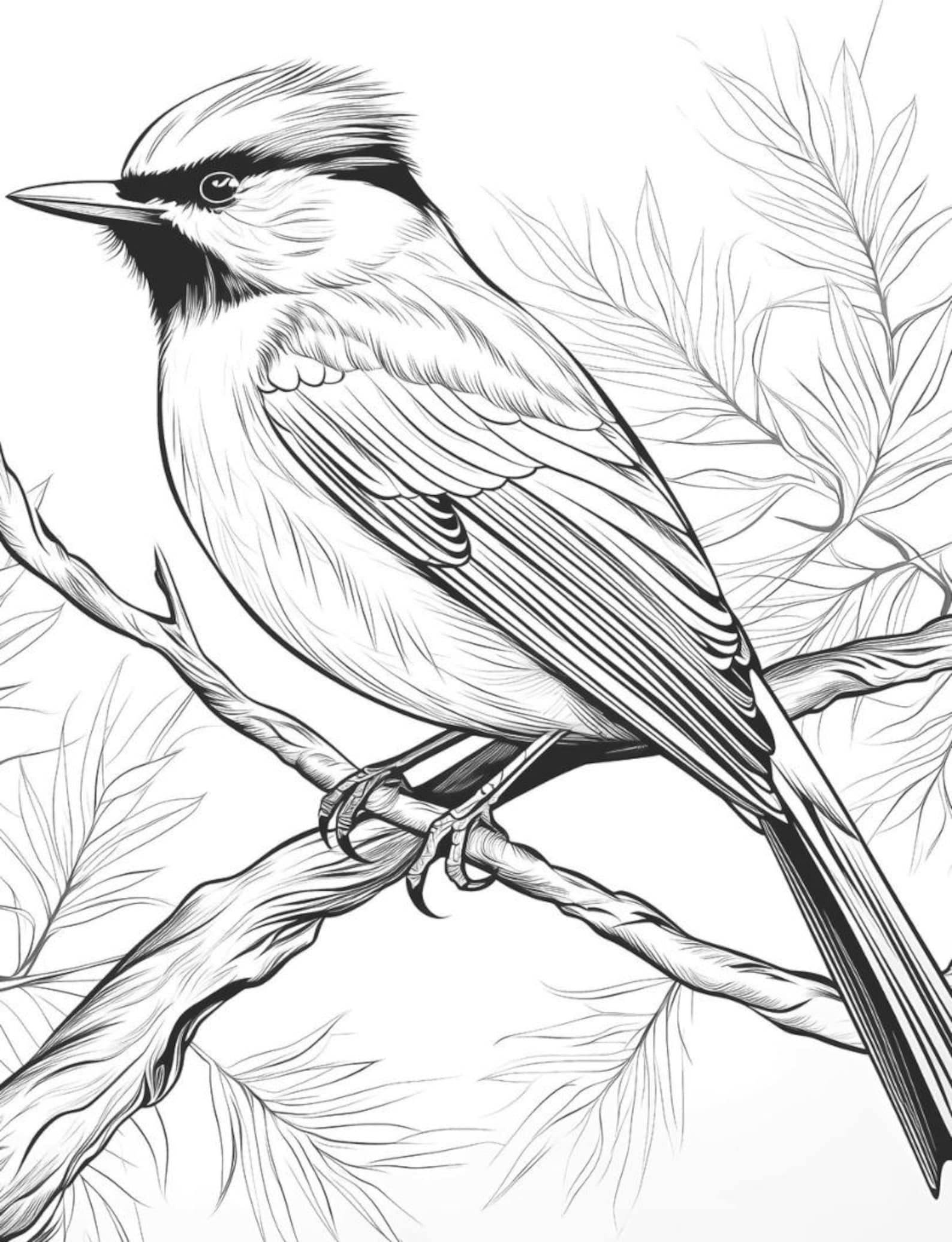 50 Birds Coloring Pages | Instant Digital Download | Light and Dark PDF ...