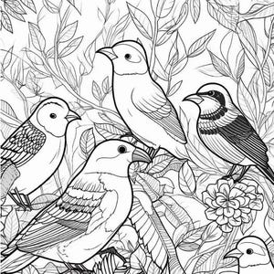 10 Birds Coloring Pages | Digital Coloring Sheets | Instant Digital ...
