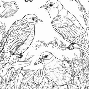 10 Birds Coloring Pages | Digital Coloring Sheets | Instant Digital ...