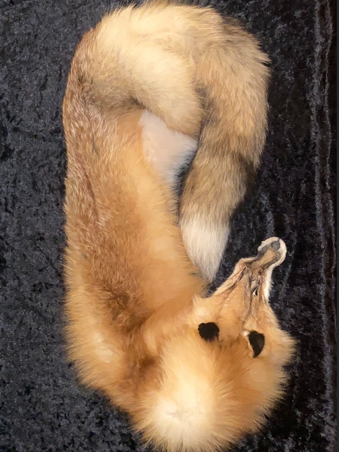 Assortment Animal Pelts - Etsy