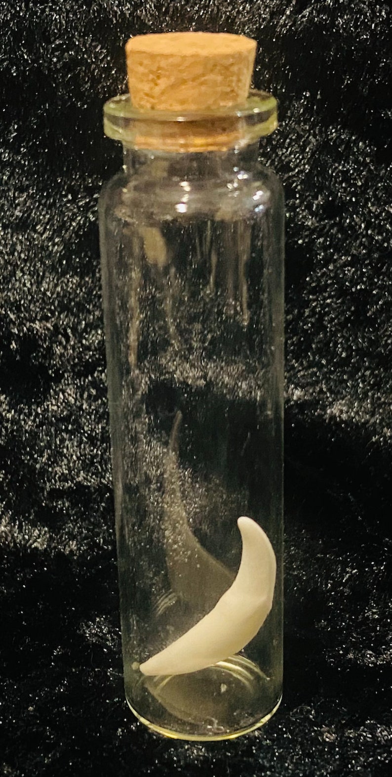 Assorted Oddity Jars - Moss/crystal/bone - Etsy Australia