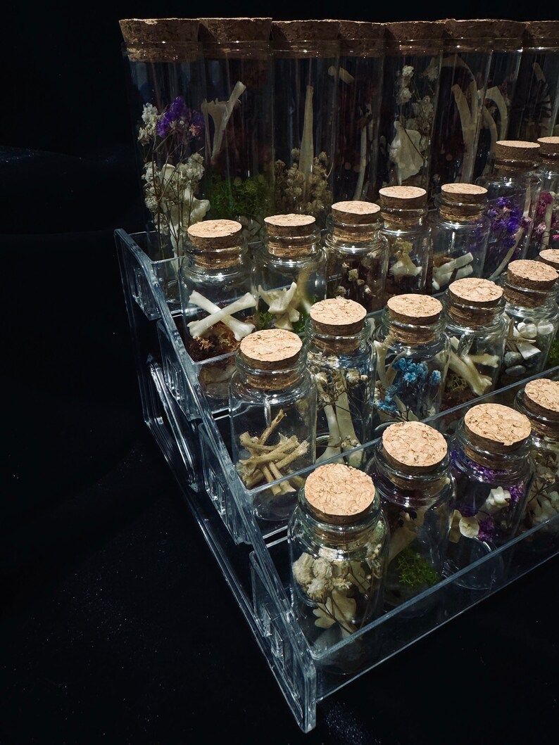 Assorted Oddity Jars - Moss/crystal/bone - Etsy Australia