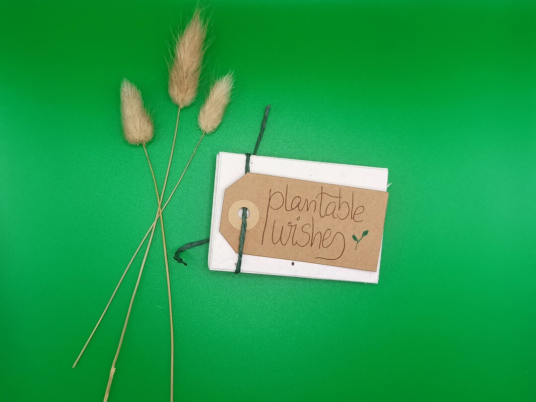 Plantable Cards Set of 5, Plantable Wishes Gift, Plantable Paper ...