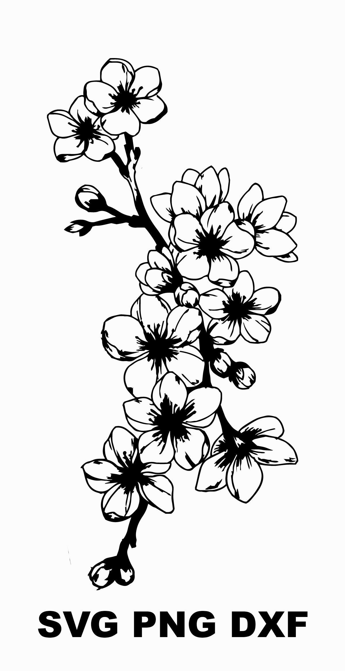 Sakura Svg/png/dxf - Etsy