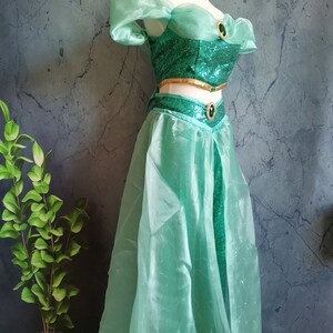 Inspired Jasmine Costume Classic Outfit - Etsy