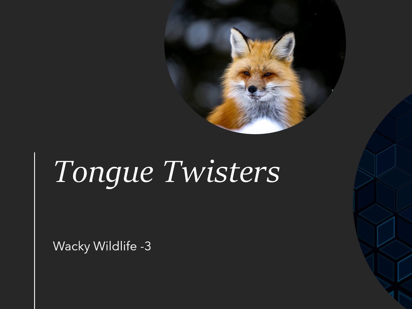 Powerpoint Tongue Twisters - Wacky Wildlife 3 - Etsy