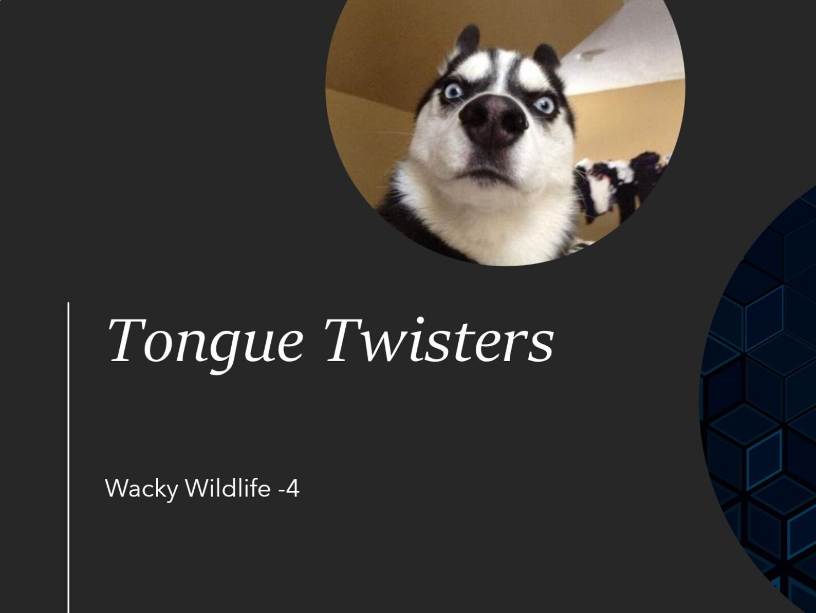 Powerpoint Tongue Twisters - Wacky Wildlife 4 - Etsy