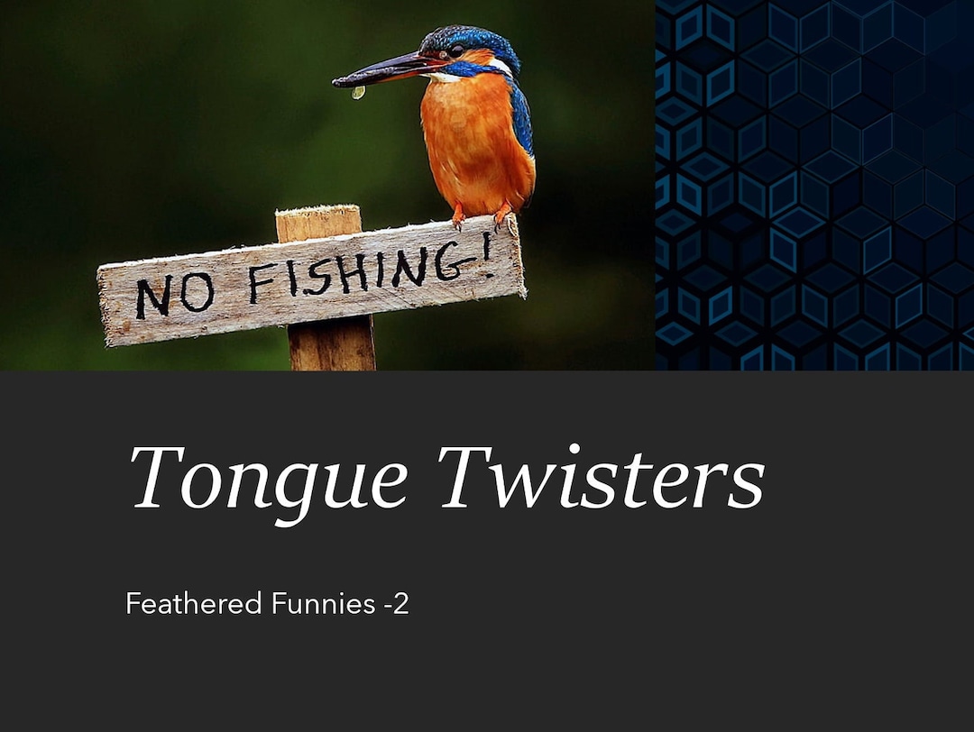 Powerpoint Tongue Twisters - Feathered Funnies 2 - Etsy