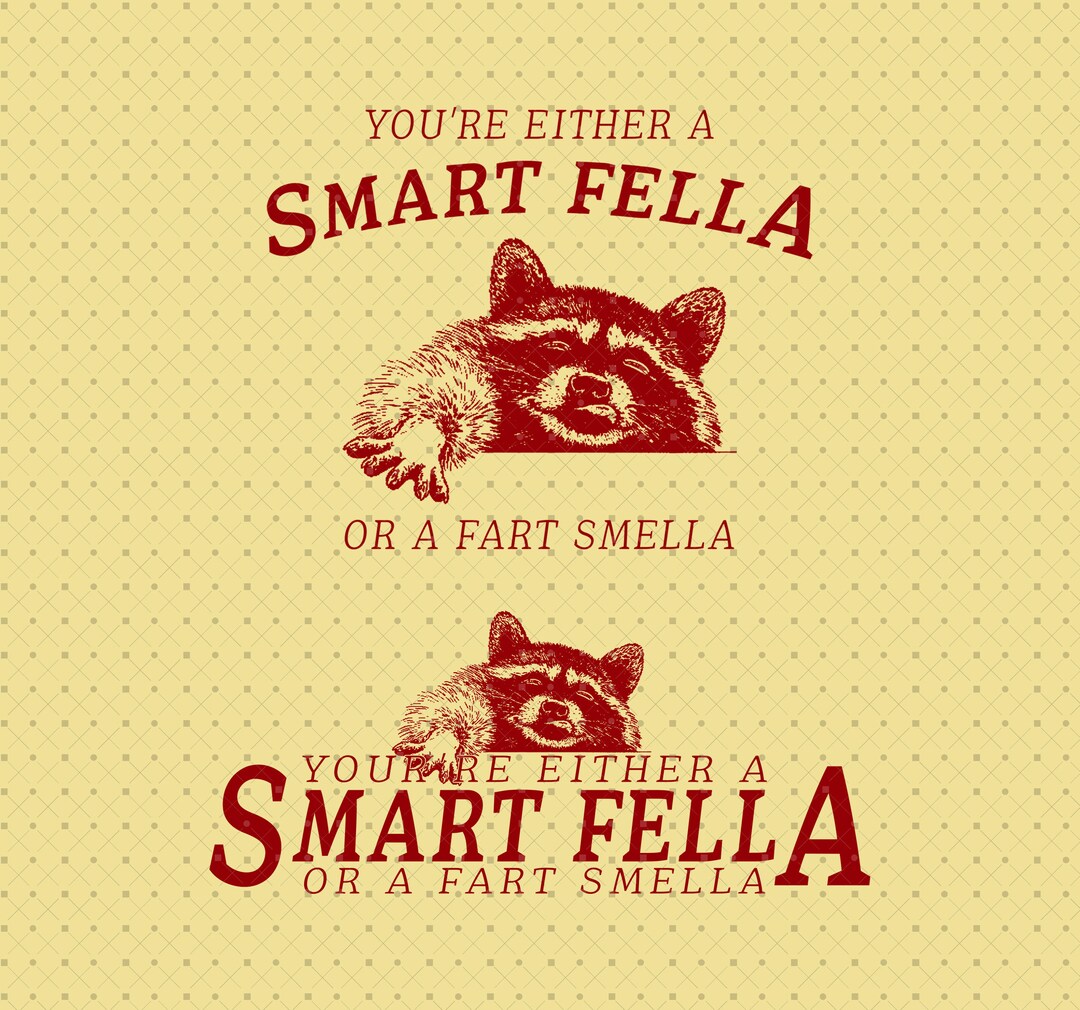Smart Fella or Fart Smella Racoon PNG, Looks Good on Bright Color ...