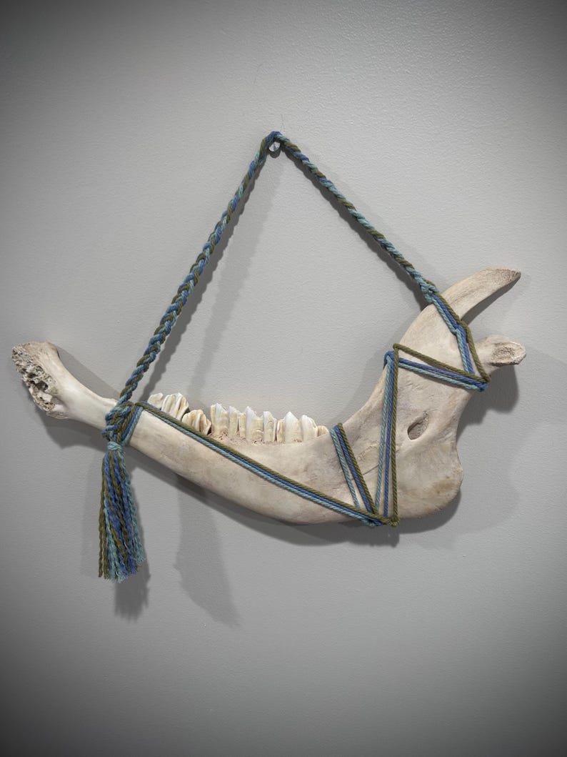 Water Buffalo Jaw Hanger - Etsy