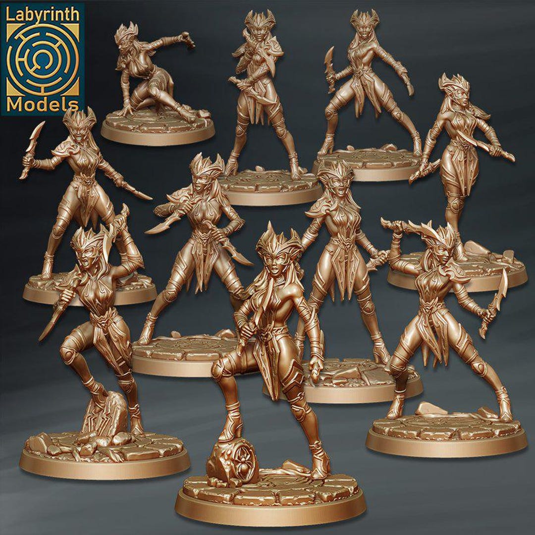 Dark Elves Black Widows - Individual/set of 10 Miniatures - D&D Fantasy RPG - Labyrinth Models ...