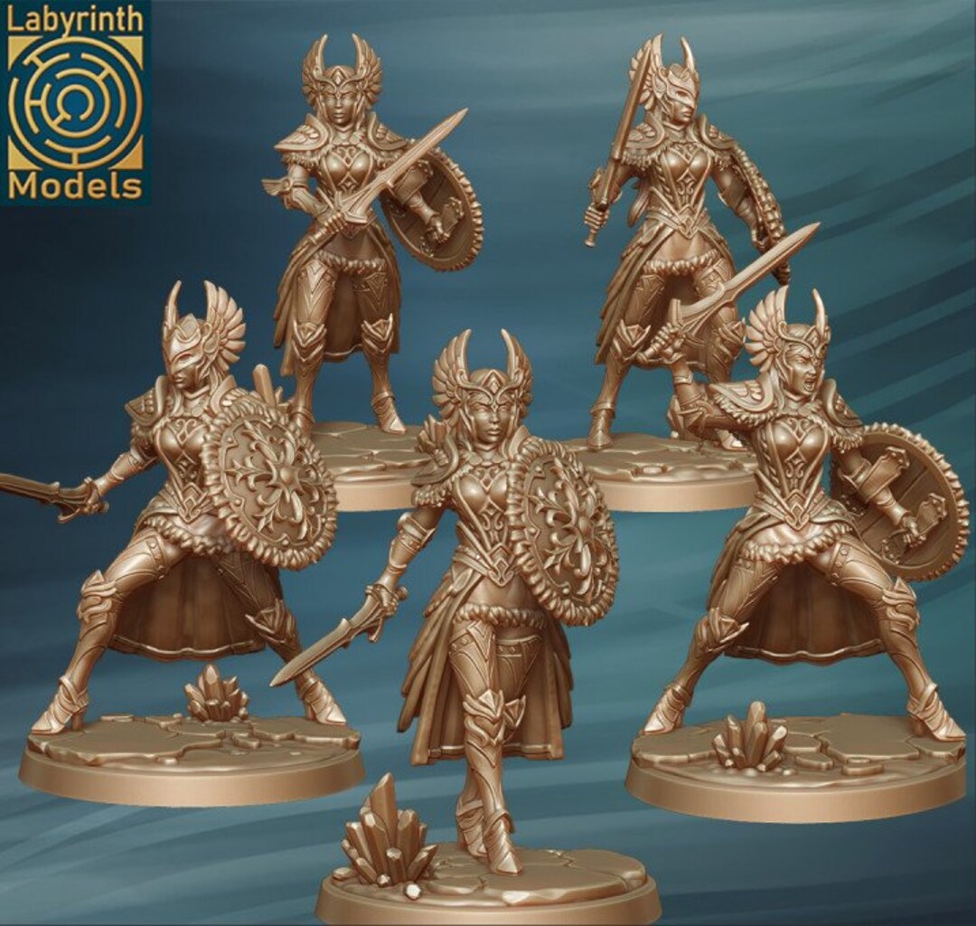 Valkyrie Warriors Individual/set of 5 Miniatures D&D Fantasy RPG ...