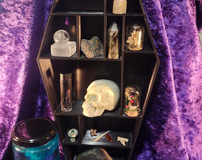 Coffin Oddities Shelf | Gothic Curio | Wall Mount Curiosity Display ...