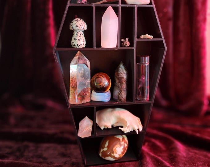 Coffin Oddities Shelf | Gothic Curio | Wall Mount Curiosity Display ...