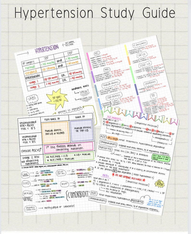 Complete Hypertension Study Guide - Etsy