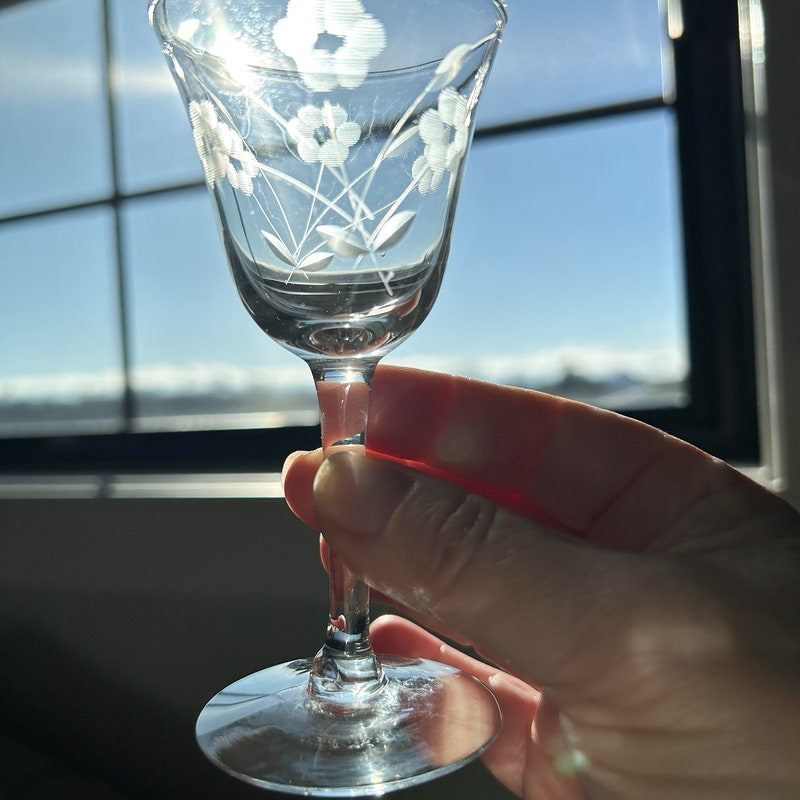 Cordial Glasses - Etsy