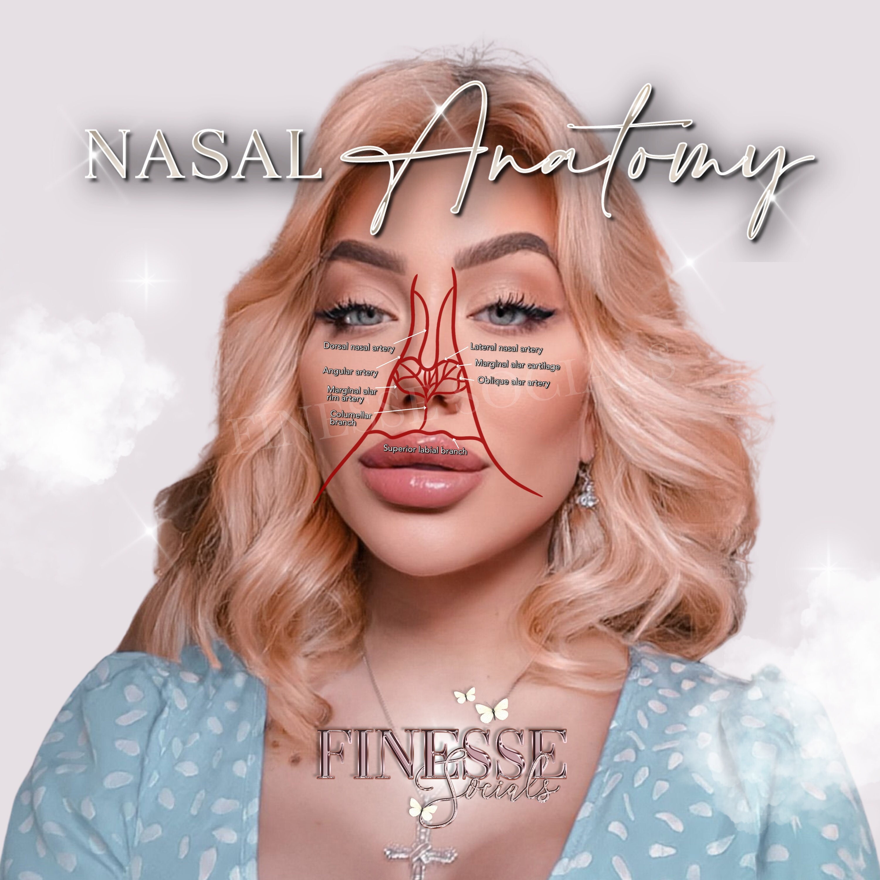 Nasal Arteries Anatomy Overlay for Aesthetics Practitioners 1 ...