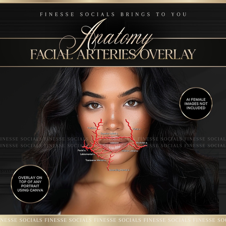 Facial Arteries Overlay (mouth) | for Aesthetics Practitioners | 1 ...