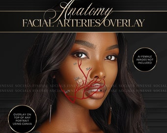 Nasal Arteries Anatomy Overlay | for Aesthetics Practitioners | 1 ...