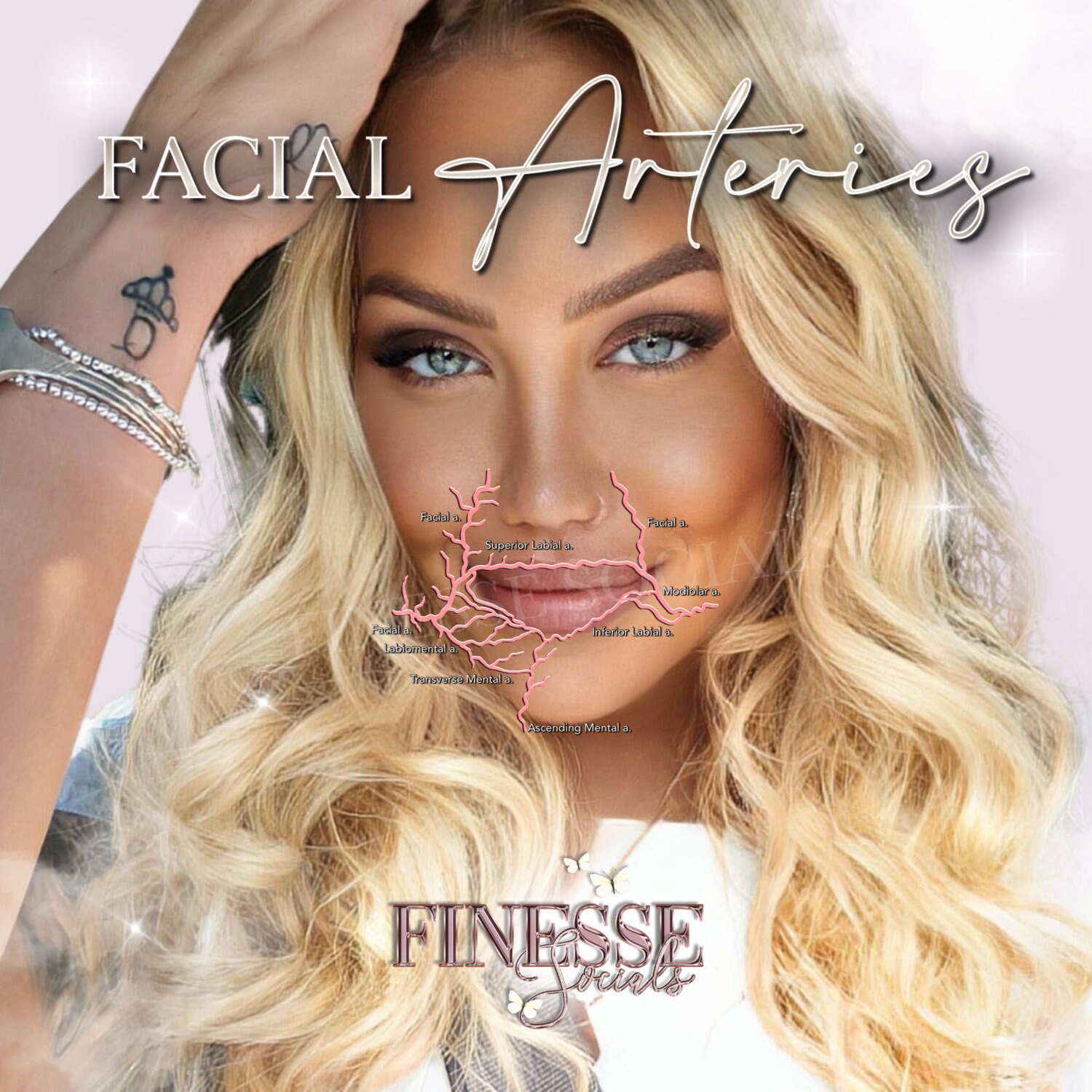 Facial Arteries Overlay mouth for Aesthetics Practitioners 1 INDIVIDUAL ...