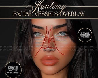 Facial Vessels Anatomy Overlay | for Aesthetics Practitioners | 1 ...
