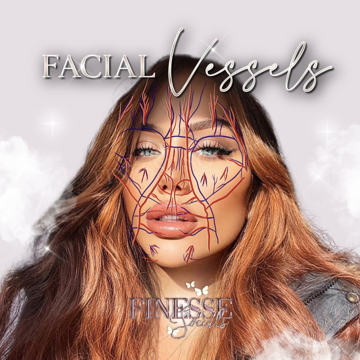 Facial Vessels Anatomy Overlay for Aesthetics Practitioners 1 ...