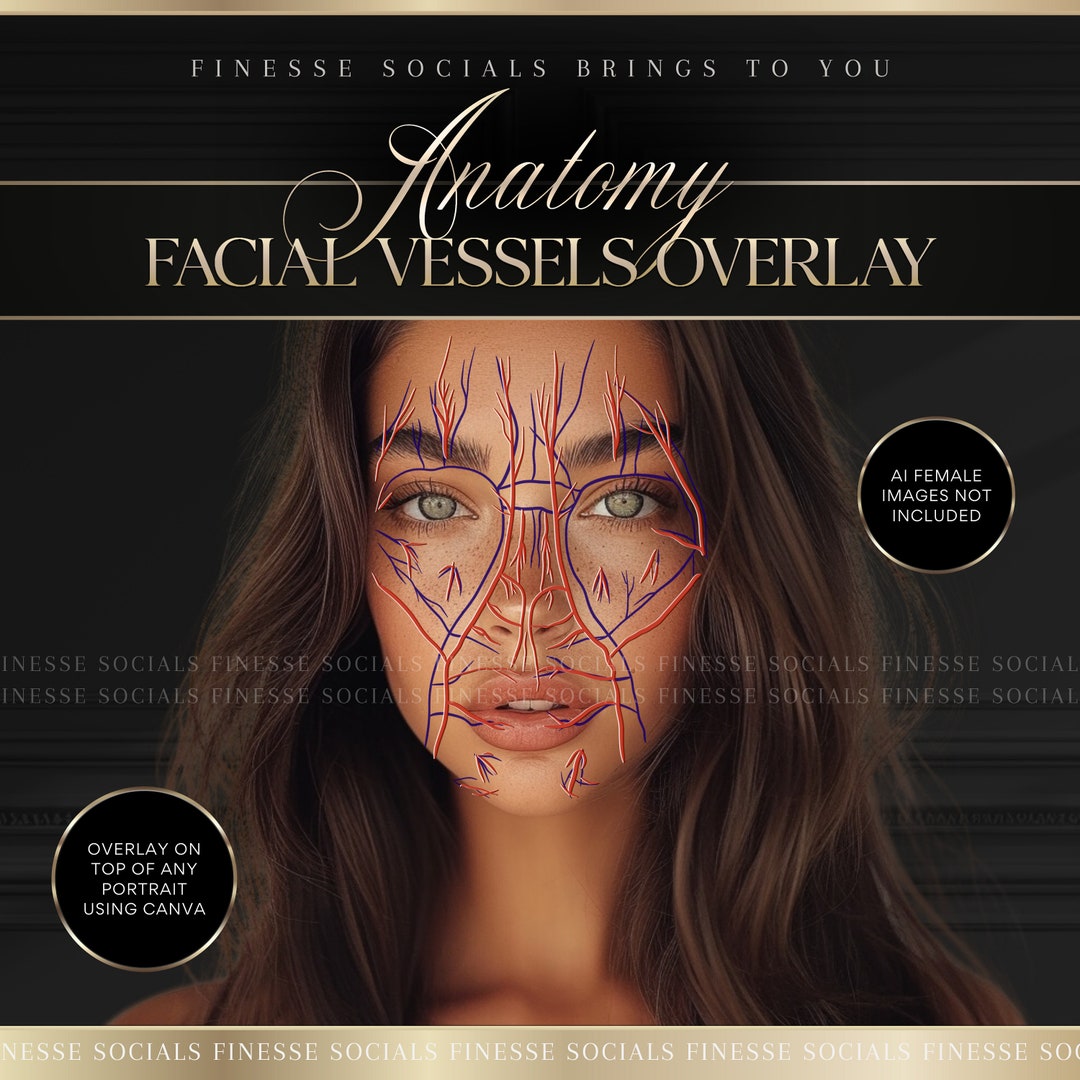 Facial Vessels Anatomy Overlay | for Aesthetics Practitioners | 1 ...