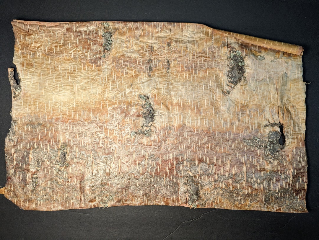 Birch Bark Sheets - Etsy