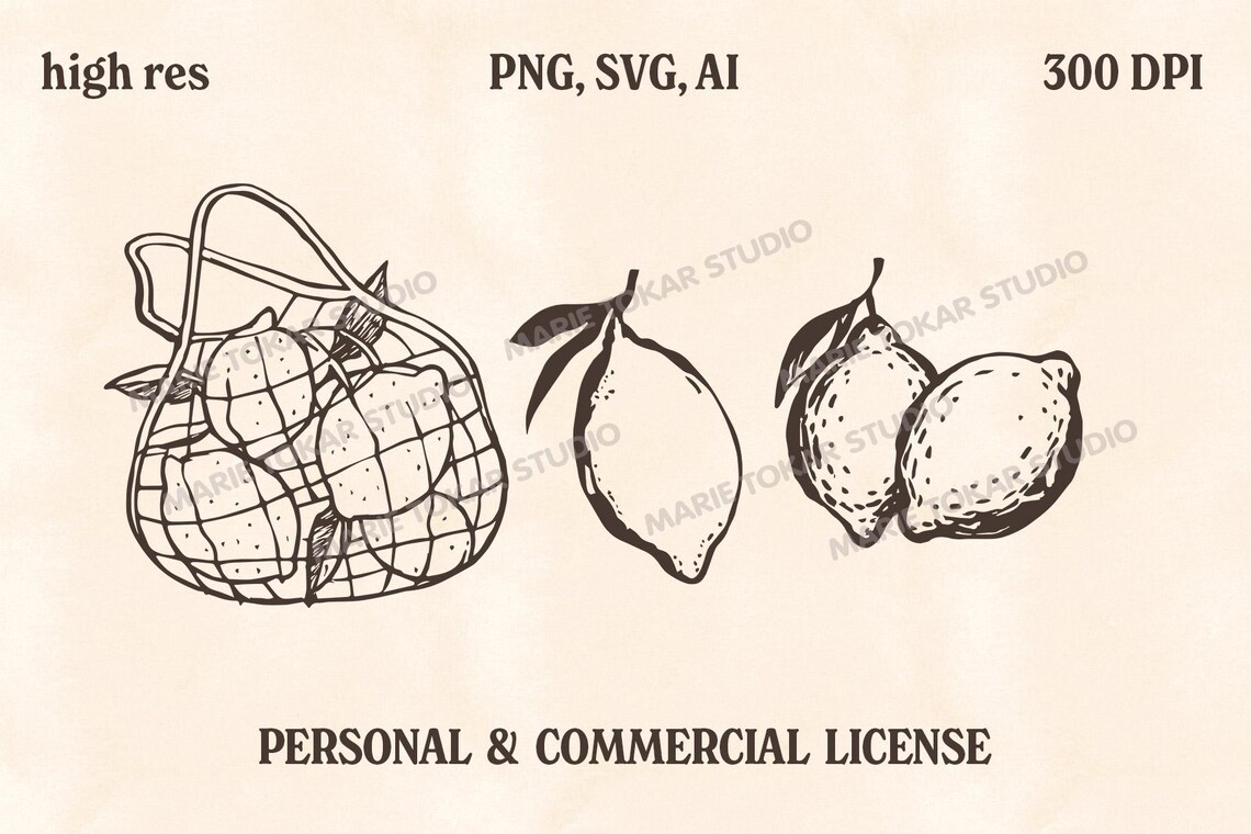 Hand Drawn Lemon Clipart Bundle – 5 Whimsical Line Art Fruit ...