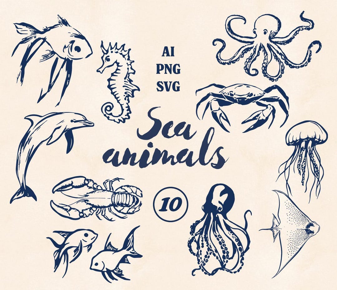10 Whimsical Sea Animal Line Art Illustrations | Coastal Marine Clipart ...