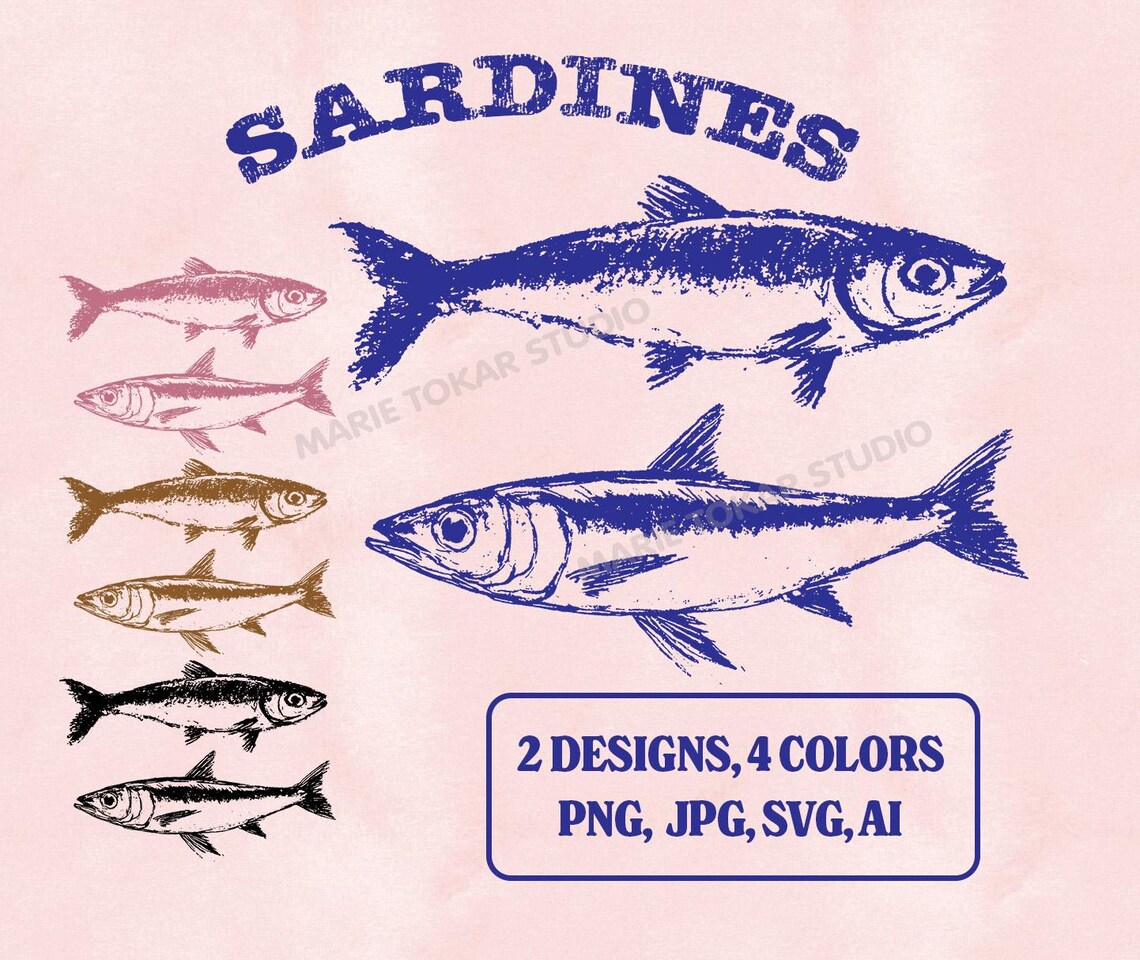 Vintage Sardines Vector Illustrations Set, Fish Graphics Clipart, 4 ...