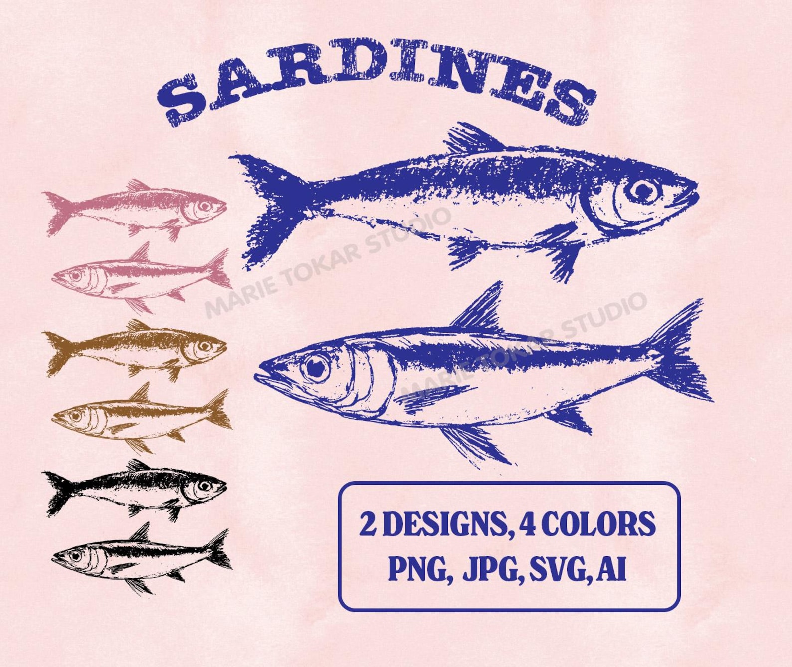 Vintage Sardines Vector Illustrations Set, Fish Graphics Clipart, 4 ...