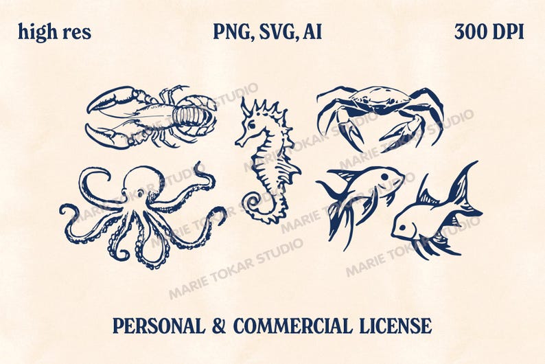 10 Whimsical Sea Animal Line Art Illustrations | Coastal Marine Clipart ...