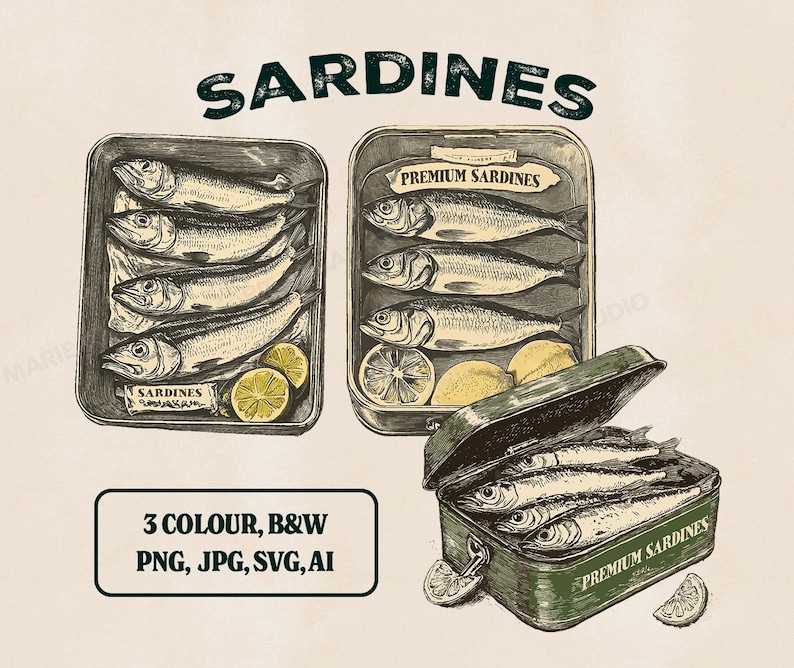 Vintage Sardines in A Can Vector Illustrations Set, Fish Clipart, 4 ...
