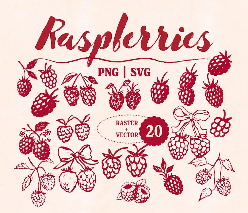 20 Line Art Raspberry Clipart Bundle, Whimsical Coquette Cute Hand ...